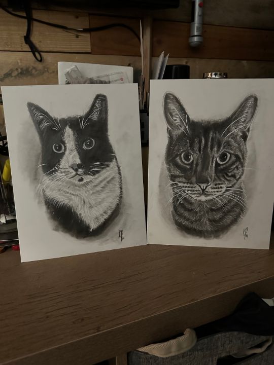 Boot and Nacho - KYLESTEVENSART - Drawings & Illustration, Animals ...