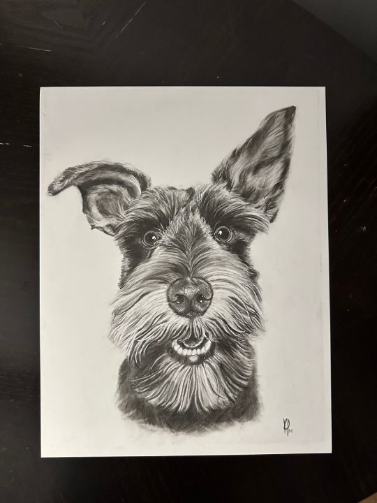 KYLESTEVENSART - Paintings & Prints, Drawings & Illustration