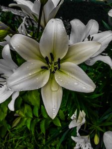 Xennie's - Photography, Crafts & Other Art