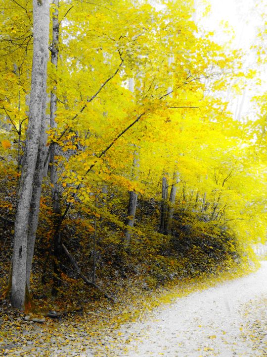 October Morn at Moonshine Camp - DLMcElhoe Photography - Photography ...