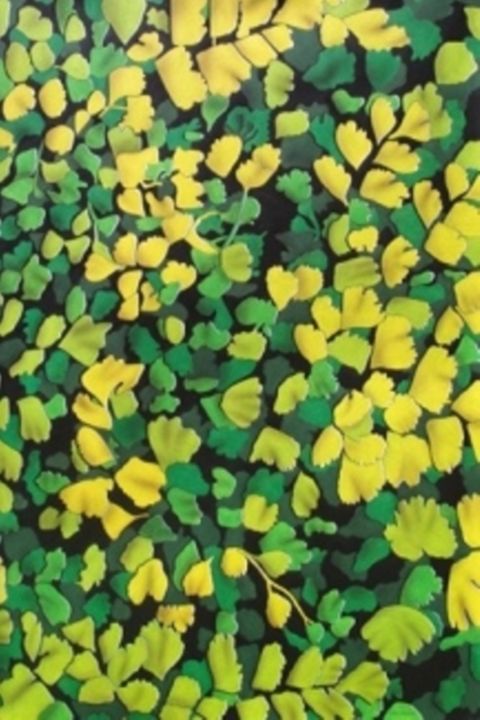 Fern Leaves - Oliver T. Spedding - Paintings & Prints, Flowers, Plants ...