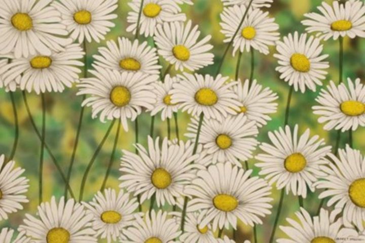 White daisies in sunlight - Oliver T. Spedding - Paintings & Prints ...