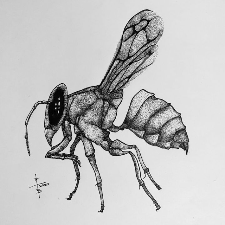 Stinger - Tim Boykin's Art - Drawings & Illustration, Animals, Birds ...