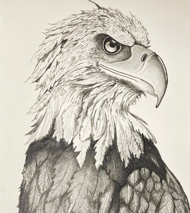Freedom - Tim Boykin's Art - Drawings & Illustration, Animals, Birds ...