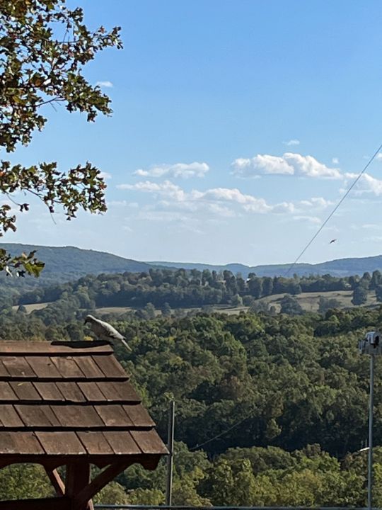 Over the valley - Mike/miguel - Photography, Flowers, Plants, & Trees ...