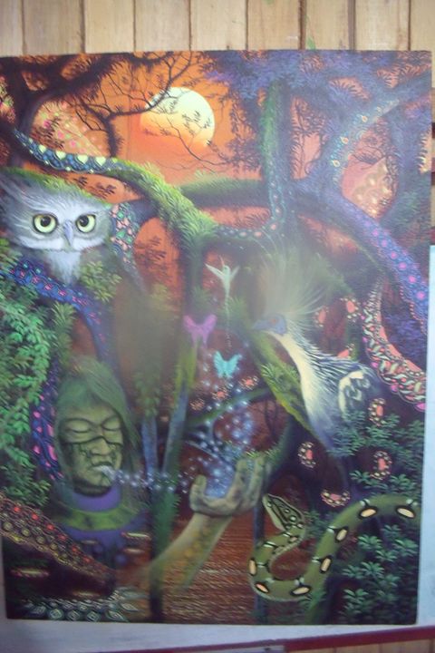 Magical Amazon Night - PERUVIAN JUNGLE 2014 - Paintings & Prints ...