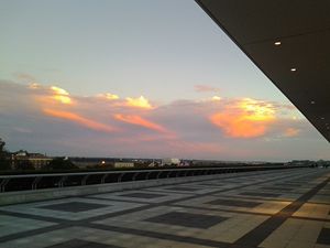 Vince R. Brown Photography - Photography