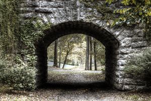 Anthony Petty - Photography