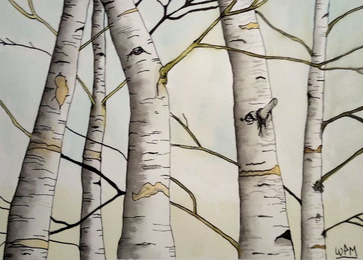 Birch 1 - Wendy Mitchell Arts - Paintings & Prints, Landscapes & Nature ...