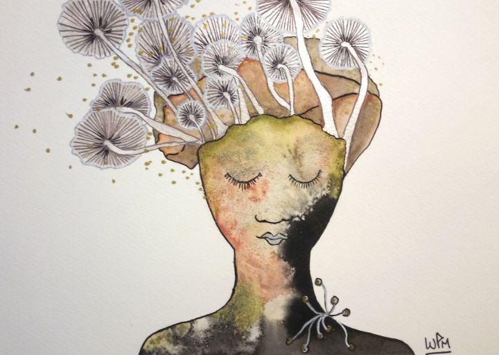 Wendy Mitchell Arts - Paintings & Prints