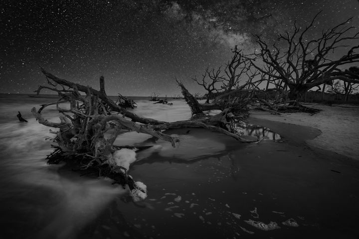 We Are Stardust - James Neihouse - Photography, Landscapes & Nature ...