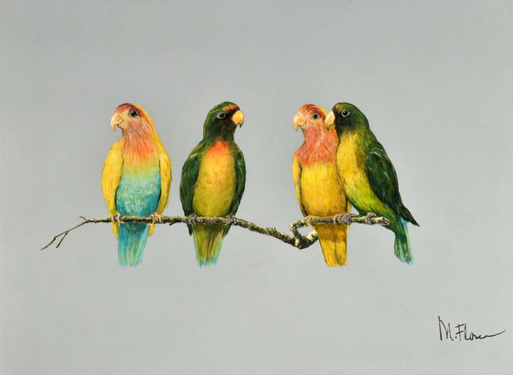 Four Colly Birds - Miguel Flores - Paintings & Prints, Animals, Birds ...