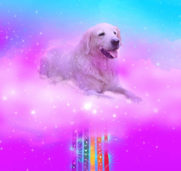 Dog Labrador with Rainbow - Egles Creations - Digital Art & AI, Animals ...
