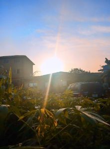 One of a kind! - Photography