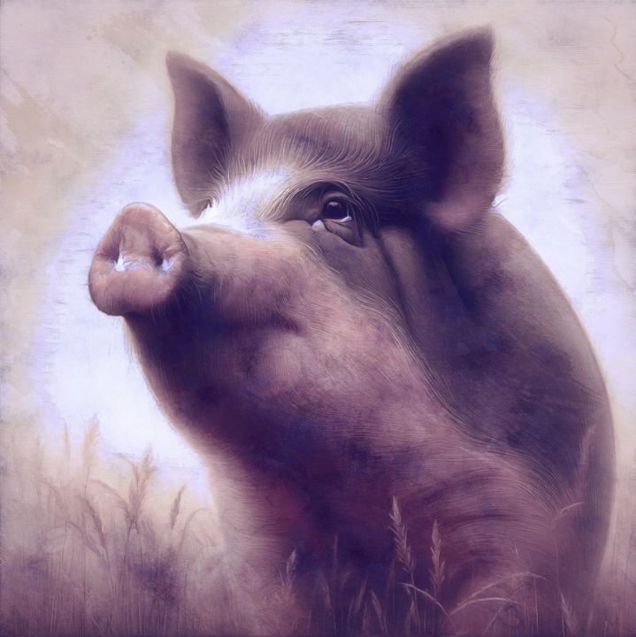 Pot Belly Pig - Left Hand Prints - Paintings & Prints, Animals, Birds ...