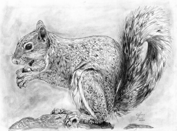 Liam Chase Studio - Drawings & Illustration