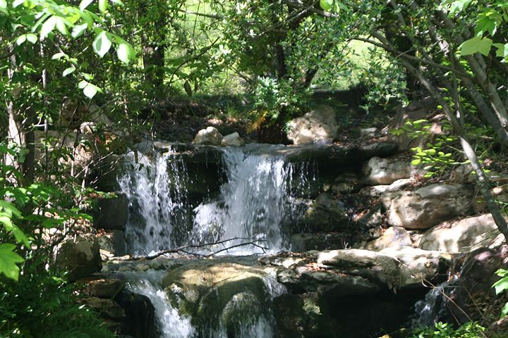 Michael Hayes - Photography