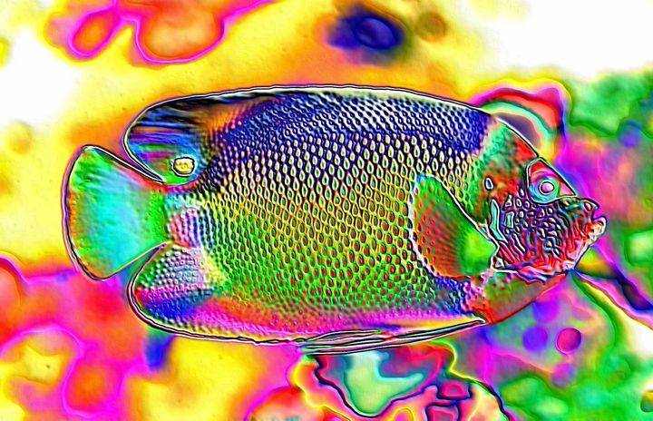 Tropical fish - Rene art - Paintings & Prints, Animals, Birds, & Fish ...