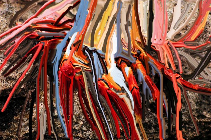 Dancers - Rene art - Photography, Abstract, Other Abstract - ArtPal