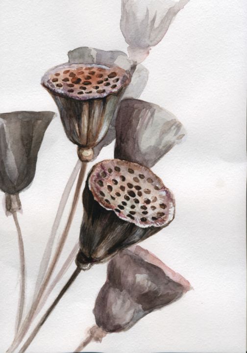 Lotus boxes - Cozy Art - Paintings & Prints, Flowers, Plants, & Trees ...