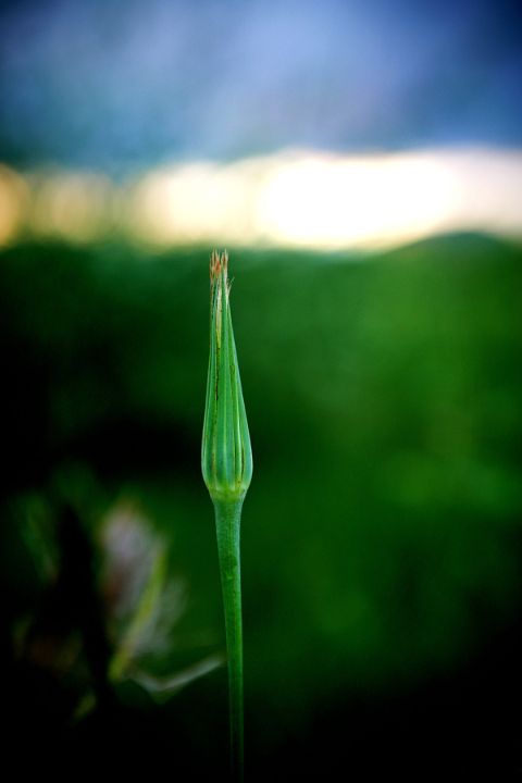 Simple Design - Reflective Perspective Photography - Photography ...