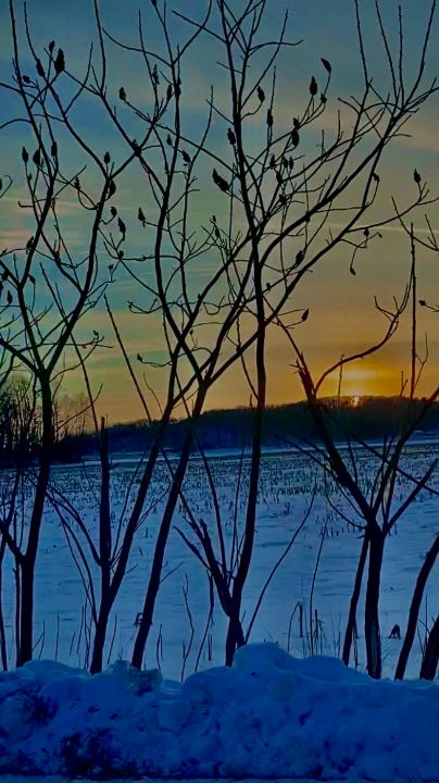 Winter Bliss - Hallee C Cole - Photography, Landscapes & Nature ...