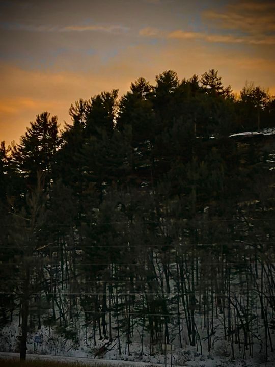 Golden Winter - Hallee C Cole - Photography, Landscapes & Nature ...