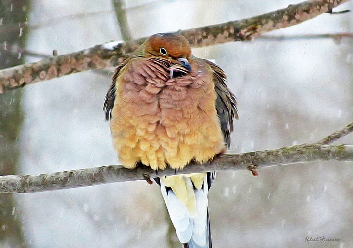 Bitter Burden - Harmonic Imagery - Paintings & Prints, Animals, Birds ...