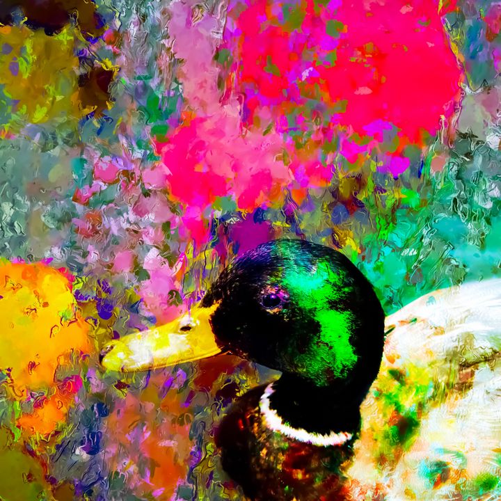 mallard duck with colorful abstract - TimmyLA - Digital Art & AI ...