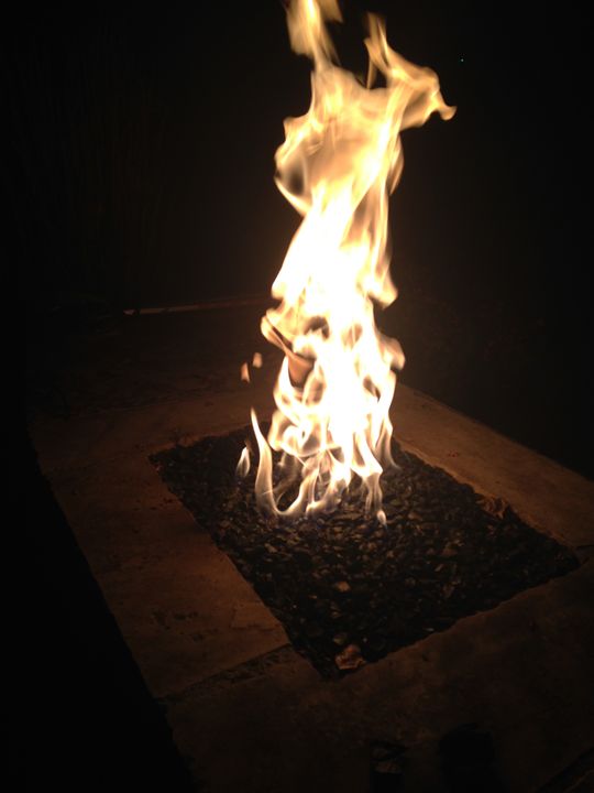 Wills Gallery - Photography