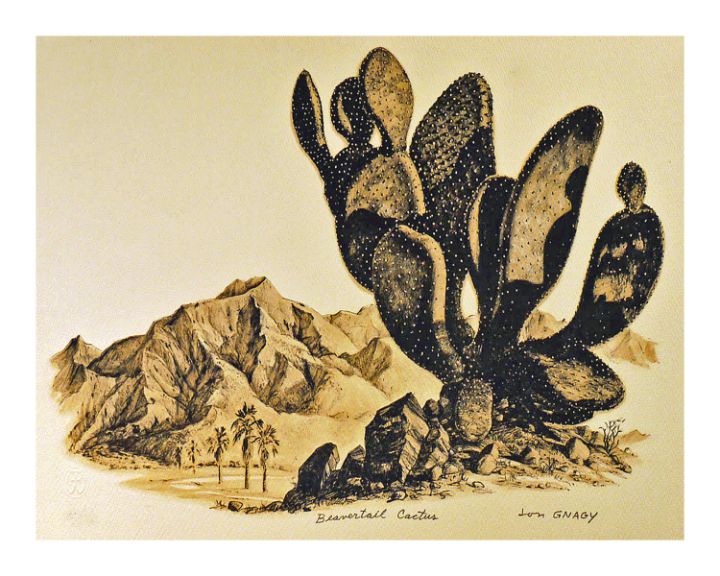 Beavertail Cactus - Jon Gnagy Tribute Reproductions - Paintings ...