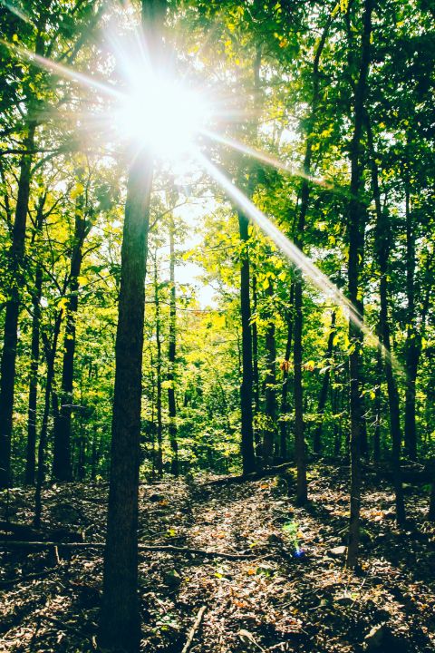 Guiding light - KDPhotography - Photography, Landscapes & Nature ...