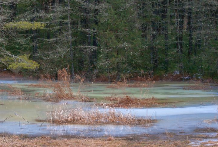 Blue and Green Ice Swamp No5 - StephenJSepan - Photography, Landscapes ...