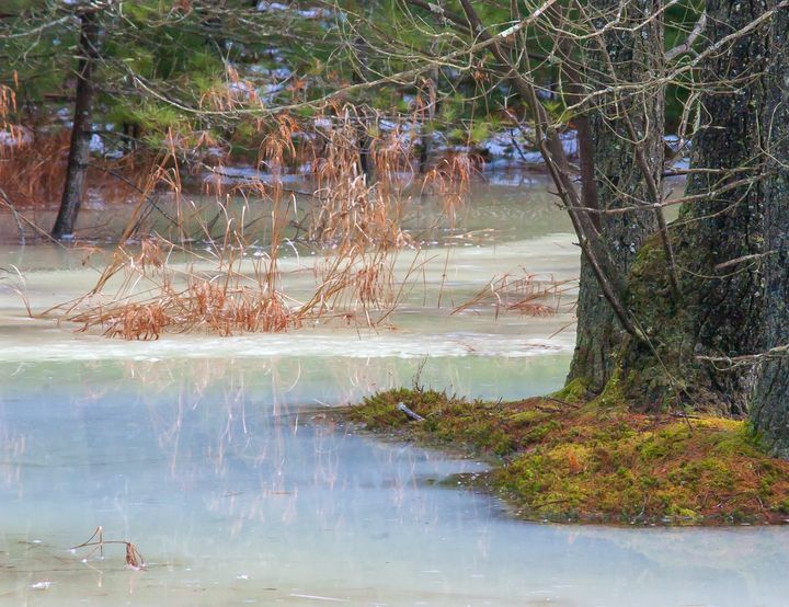 Blue and Green Ice Swamp No4 - StephenJSepan - Photography, Landscapes ...