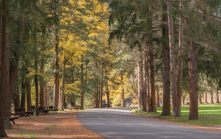 River Road in Sun & Shade - StephenJSepan - Photography, Landscapes ...