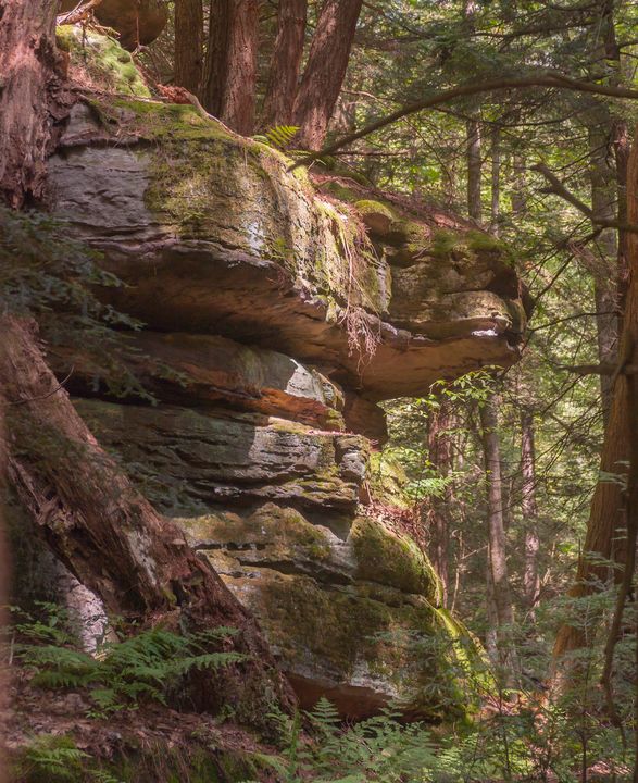 Stacked Rocks in a Forest - StephenJSepan - Photography, Landscapes ...