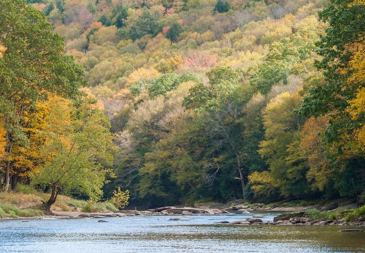 Clarion River Fall 2019 - StephenJSepan - Photography, Landscapes ...