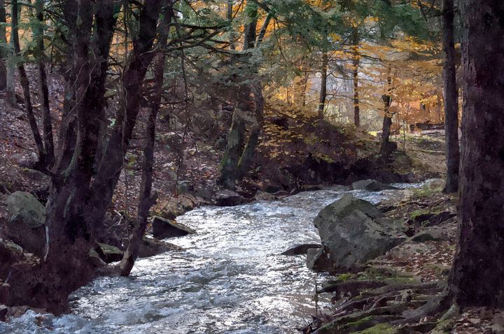 Wooded Stream at Loleta, ANF (WC) - StephenJSepan - Digital Art & AI ...