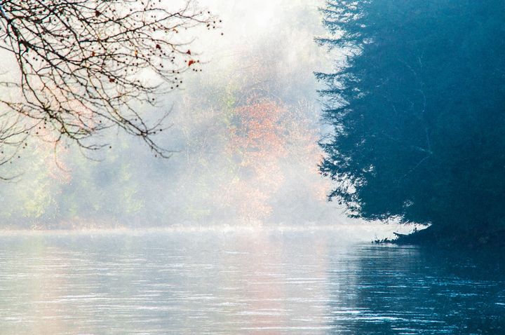 Bending Trees, Clarion No7 (OP) - StephenJSepan - Digital Art & AI ...