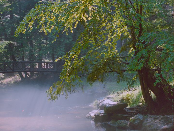 Sunlight on Stream Bed and Mist - StephenJSepan - Photography ...