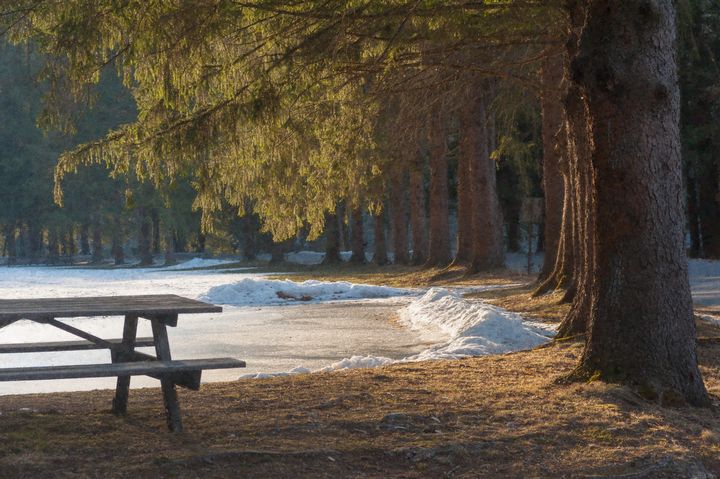 Cook Forest Skating Pond (OP) - StephenJSepan - Digital Art & AI ...