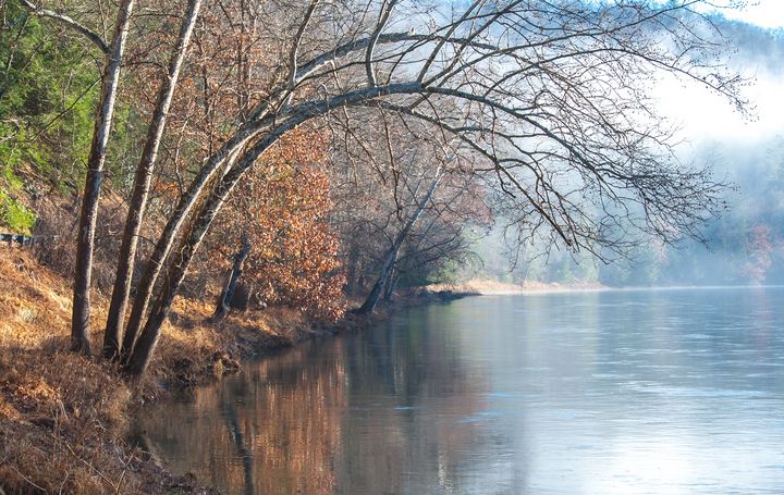 Bending Trees, Clarion R. No8 - StephenJSepan - Photography, Landscapes ...