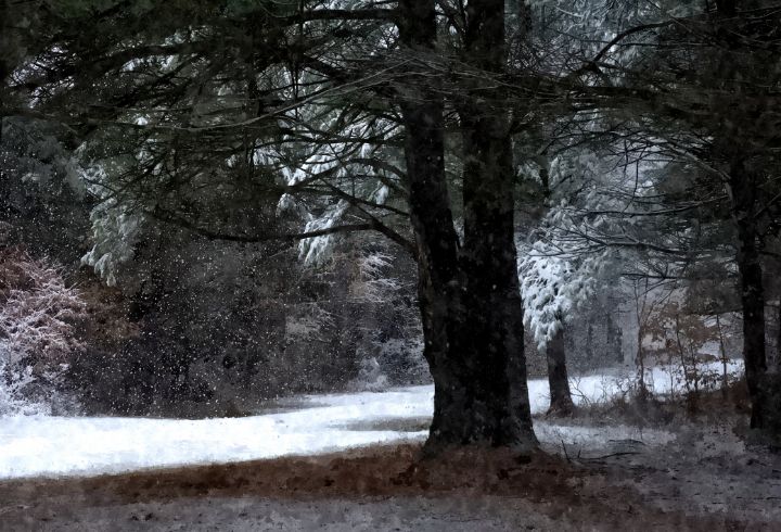 Fresh Snowfall in January (WC) - StephenJSepan - Digital Art & AI ...