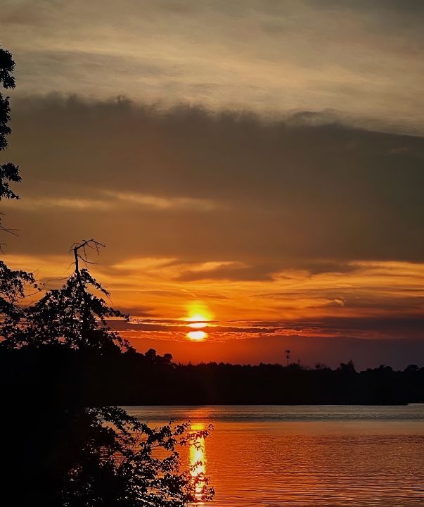 Sunny Side Down - S★M @virtualldiaryy - Photography, Landscapes ...