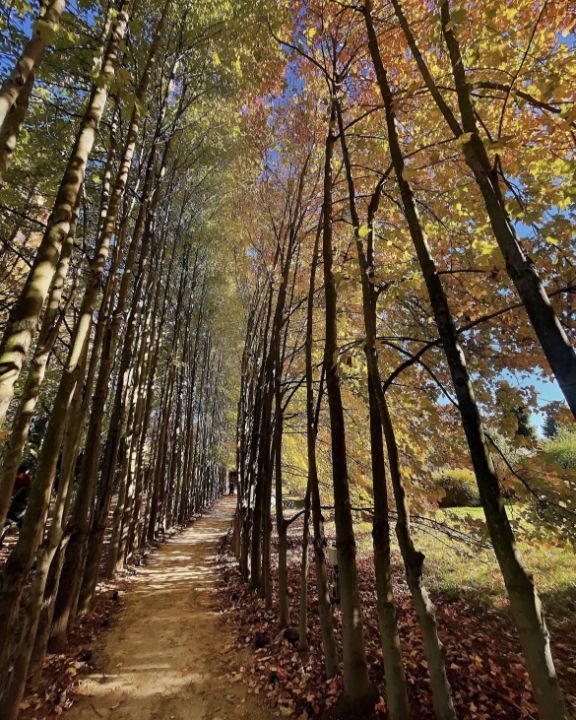 Spring Trails - S★M @virtualldiaryy - Photography, Landscapes & Nature ...