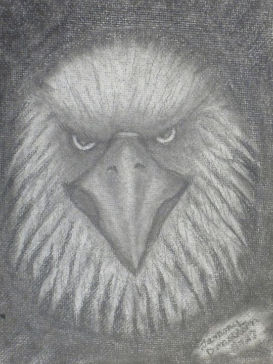 The Bald Eagle - Tammy Kay Donaldson - Drawings & Illustration, Animals ...