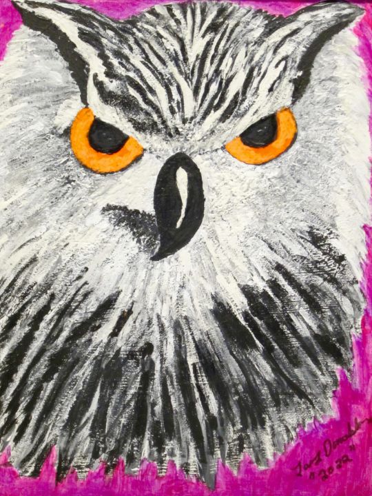 Who? Who? The Owl that's Who - Tammy Kay Donaldson - Drawings ...