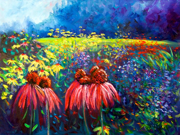 Echinacea Wildflowers - Helen Blair - Paintings & Prints, Flowers ...