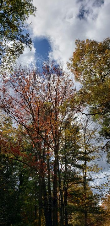 Just past noon in October - James M. Piehl - Photography, Landscapes ...