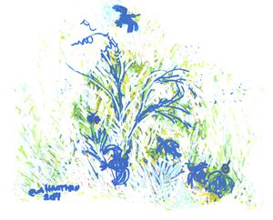 Eva Hartman's Drawings and Paintings - Drawings & Illustration ...